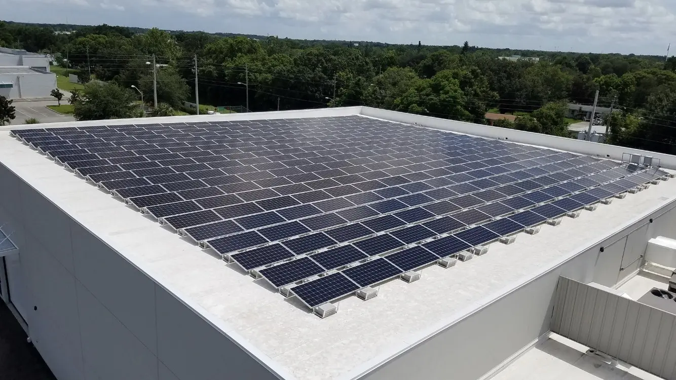 Paneles Solares En Florida: Aprovecha La Energía Solar En Orlando ...