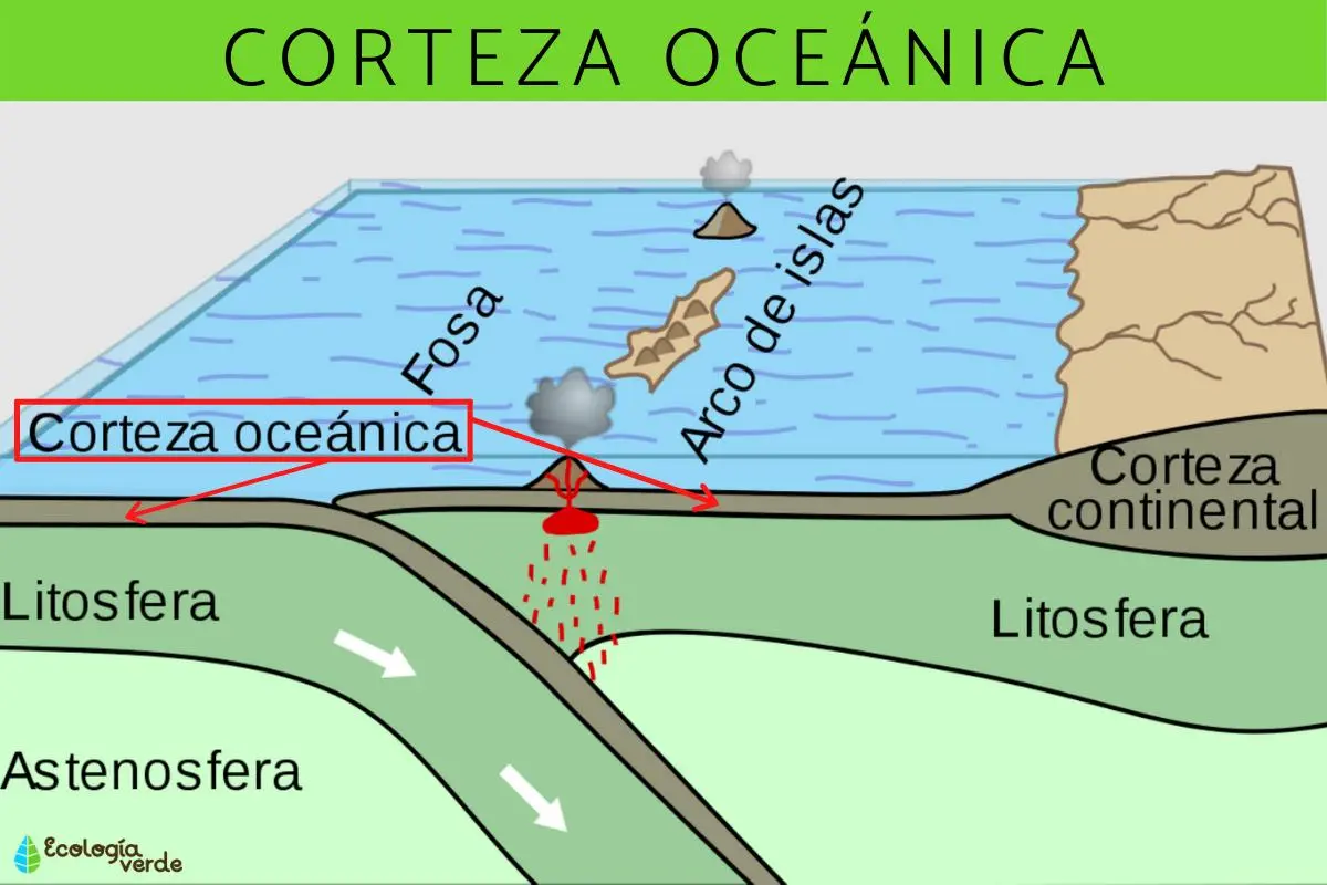 Placas Formadas Por Corteza Continental: Analizando La Tierra | Placas ...